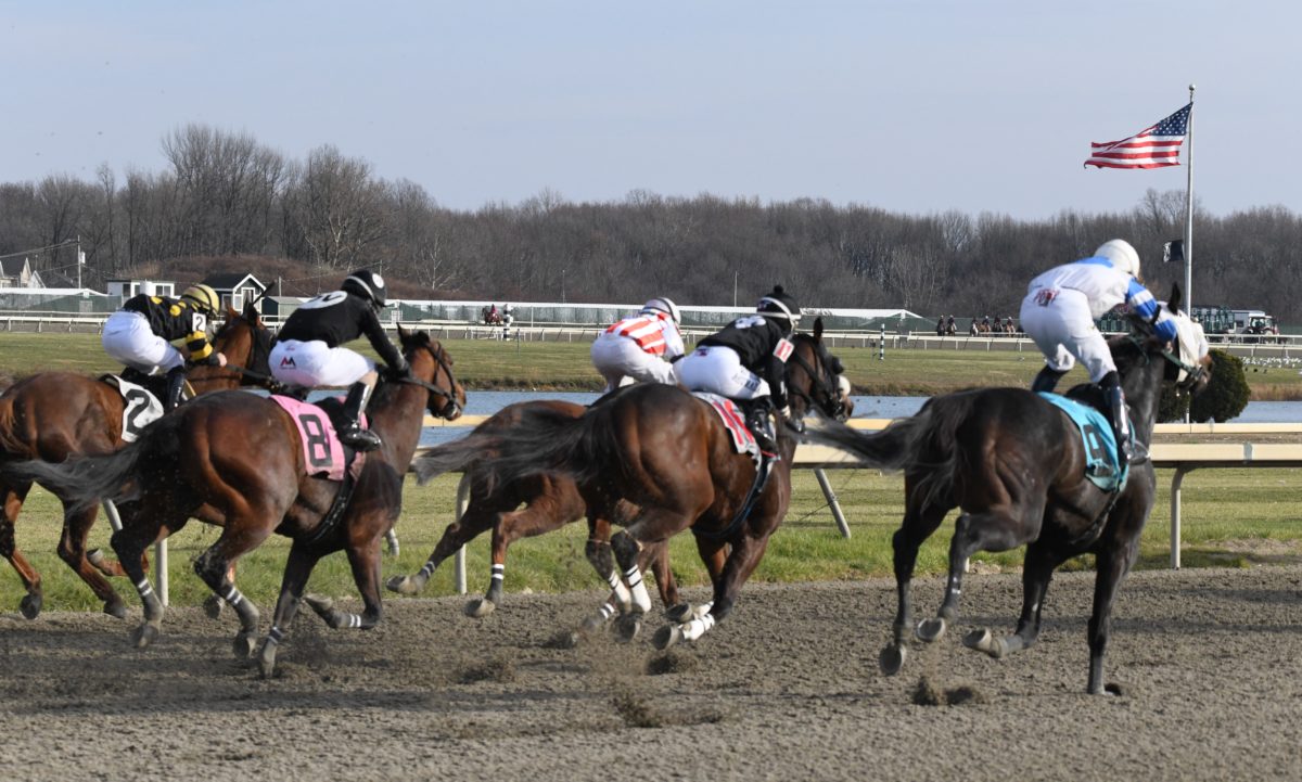 Craig Donnelly’s Parx Racing Analysis – Pennsylvania Thoroughbred ...