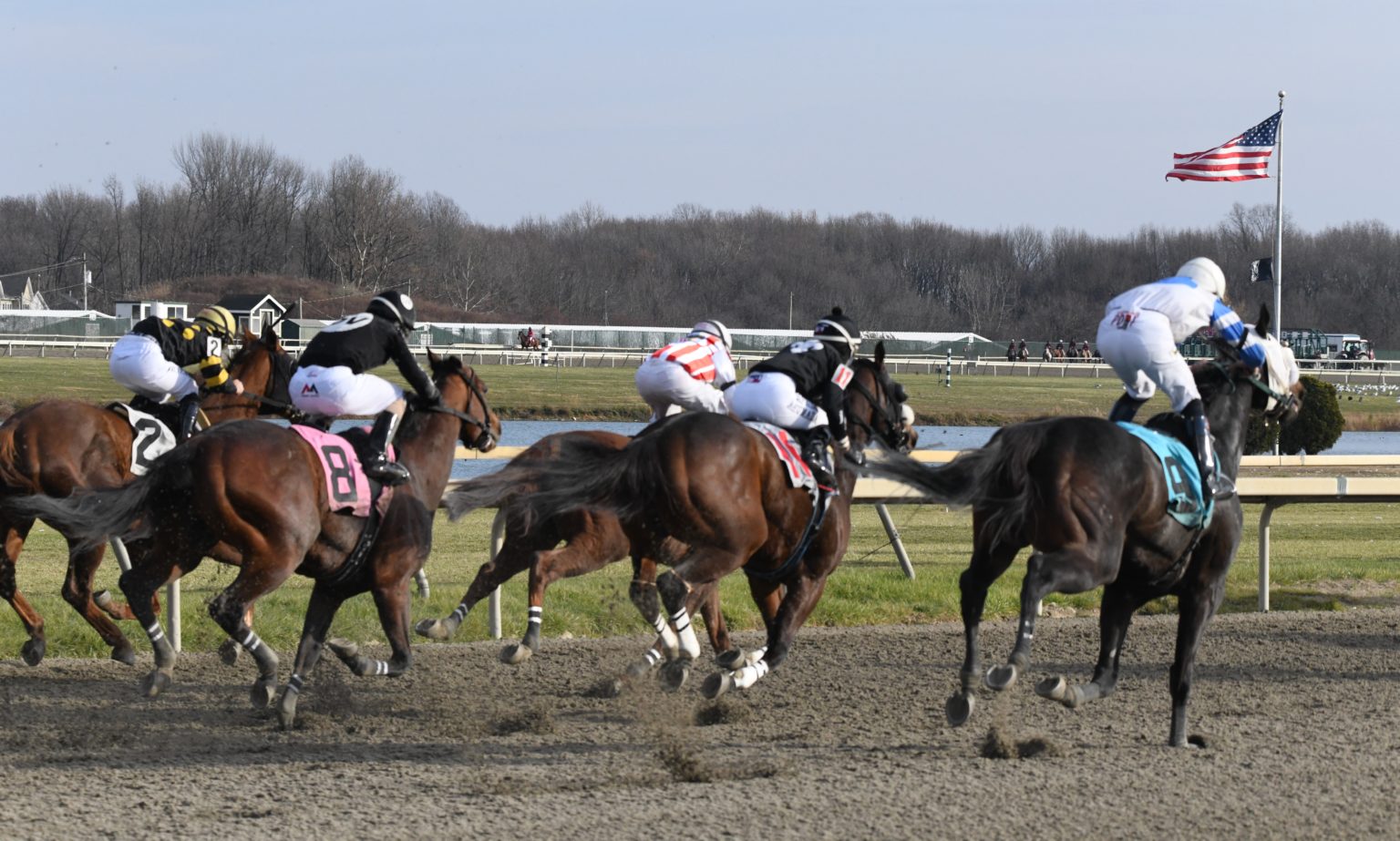 Craig Donnelly’s Parx Racing Analysis – Pennsylvania Thoroughbred ...