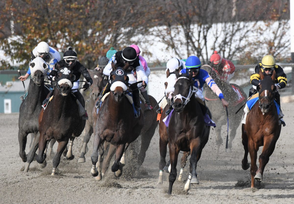 Craig Donnelly’s Parx Racing Analysis – Pennsylvania Thoroughbred ...