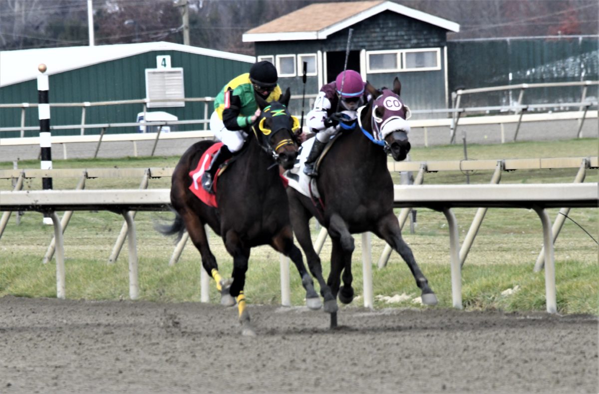 Craig Donnelly’s Parx Racing Analysis – Pennsylvania Thoroughbred ...