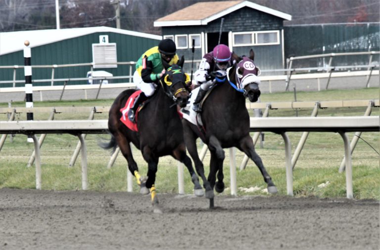 Craig Donnelly’s Parx Racing Analysis – Pennsylvania Thoroughbred ...
