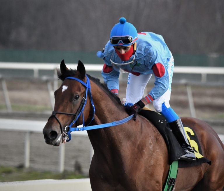 Craig Donnelly Parx Picks : Today’s Free Parx Winning Horse Picks [2025 ...