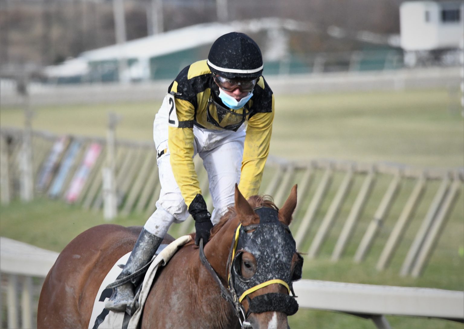 Craig Donnelly’s Parx Racing Analysis – Pennsylvania Thoroughbred ...