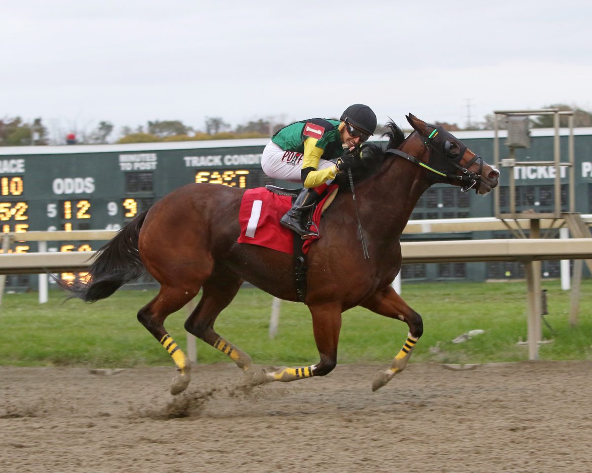 Craig Donnelly’s Parx Racing Analysis – Pennsylvania Thoroughbred ...