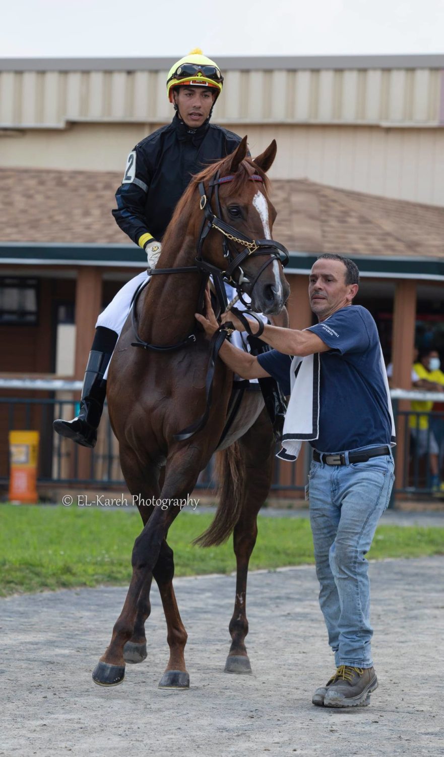 Pennsylvania Thoroughbred Horsemen's Association (PTHA) – PTHA