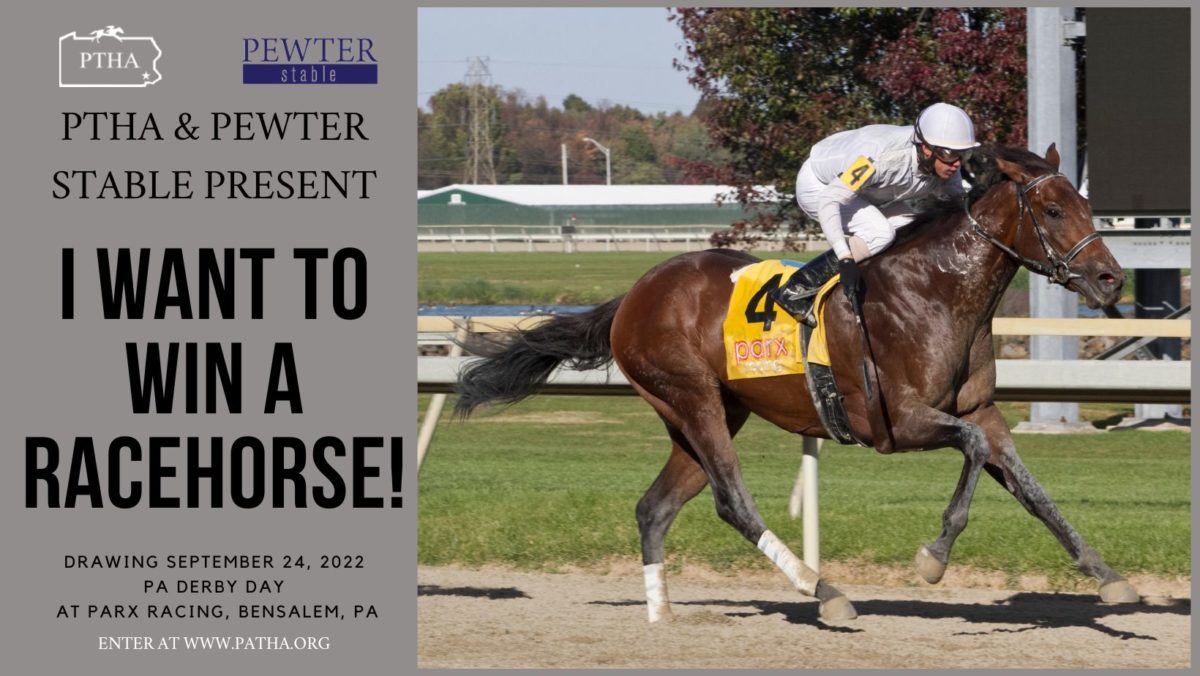 Craig Donnelly’s Parx Racing Analysis – Pennsylvania Thoroughbred ...