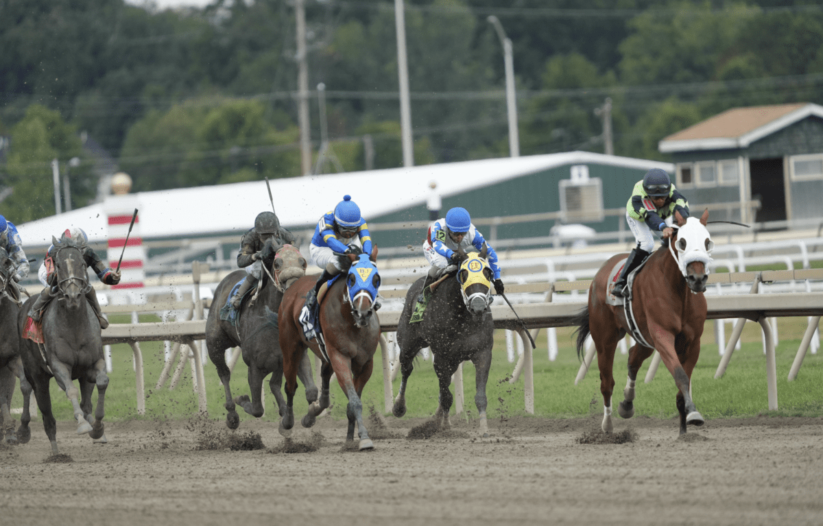 Craig Donnelly’s Parx Racing Analysis – Pennsylvania Thoroughbred ...