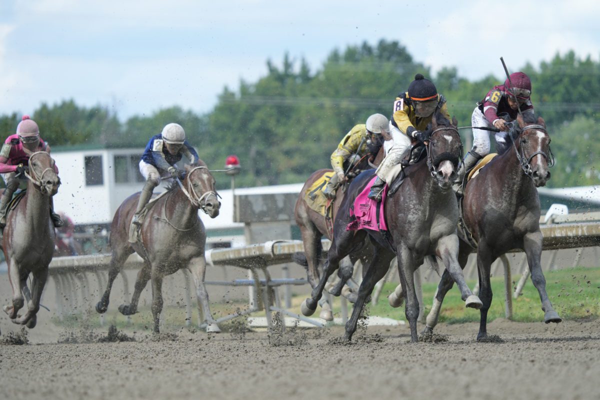 Craig Donnelly’s Parx Racing Analysis – Pennsylvania Thoroughbred ...